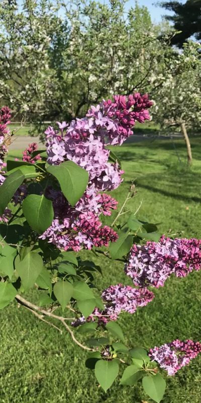 Mark Harold Van Note | Fenton and Hennessey